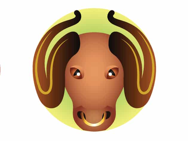 Vrishabha Rashi In English