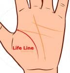 How To Read Palms: The Life Line - SunSigns.Org