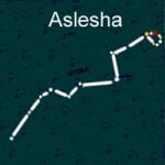 Ashlesha Nakshatra - SunSigns.Org