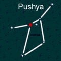 Pushya Nakshatra - SunSigns.Org