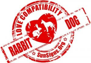 Rabbit And Dog Compatibility: Loyalty And Protection - SunSigns.Org