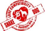 Snake And Dog Compatibility: Desired Partnership - SunSigns.Org