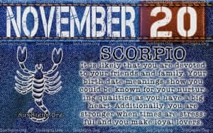November 20 Zodiac Horoscope Birthday Personality - SunSigns.Org