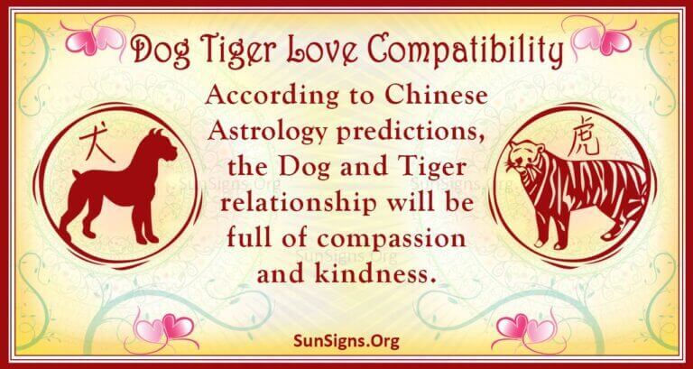 Dog And Tiger Compatibility: Friendly Affair - SunSigns.Org