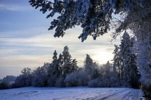 February Symbolism: Focusing On New Life - SunSigns.Org