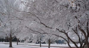 Winter Meaning And Symbolism: Prepare For Change - SunSigns.Org