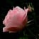 March Symbolism Meaning: Boldness And Victory - SunSigns.Org