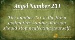 Angel Number 231 Meaning: Seek Peace - SunSigns.Org