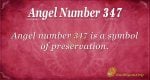 Angel Number 347 Meaning: Spiritual Awakening - SunSigns.Org