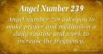 Angel Number 239 Meaning: End Of Your Problems - SunSigns.Org