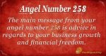 Angel Number 258 Meaning: Making A Huge Milestone - SunSigns.Org