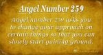 Angel Number 259 Meaning: Develop A Strategic Plan - SunSigns.Org