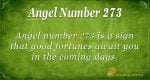 Angel Number 273 Meaning: A Sign Of Good Fortune - SunSigns.Org