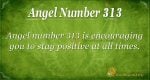 Angel Number 313 Meaning: Take a Spiritual Path - SunSigns.Org