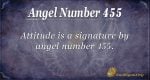 Angel Number 455 Meaning: Learning New Stuff - SunSigns.Org