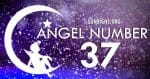Angel Number 37 Meaning - A Sign Of New Opportunities - SunSigns.Org