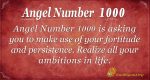 Angel Number 1000 Meaning: Employ Innate Strength - SunSigns.Org