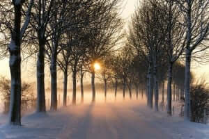 December Symbolism: Beginning And The End - SunSigns.Org