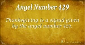Angel Number 429 Meaning: Start Working Hard - SunSigns.Org