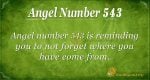 Angel Number 543 Meaning: Passion And Drive - SunSigns.Org