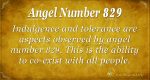 Angel Number 829 Meaning: Tolerate Others - SunSigns.Org