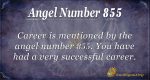 Angel Number 855 Meaning: Unleash your Power - SunSigns.Org
