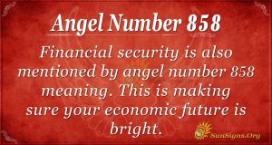 Angel Number 858 Meaning: Financial Stability - SunSigns.Org