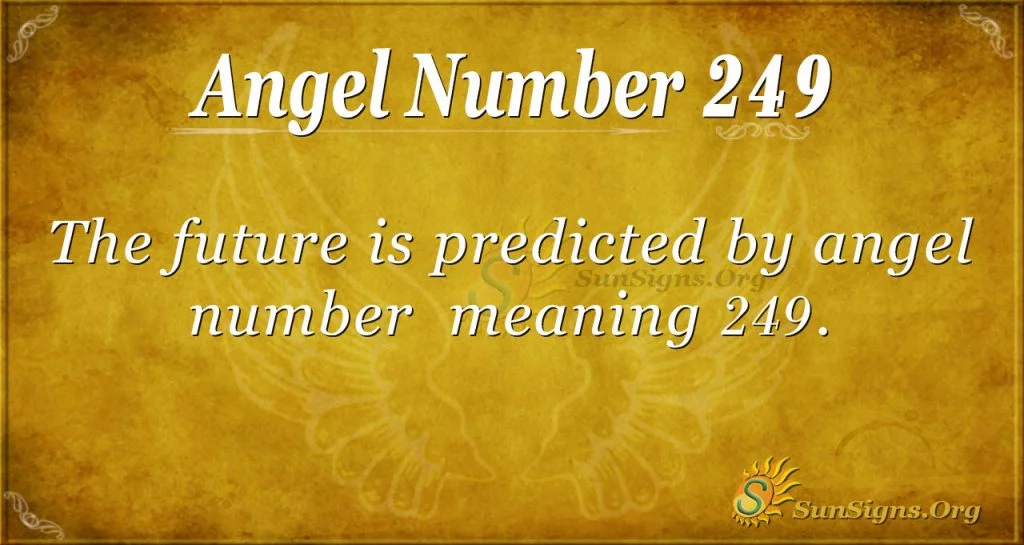 Angel Number 249 Meaning: Plan Your Future - SunSigns.Org