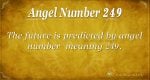 Angel Number 249 Meaning: Plan Your Future - SunSigns.Org