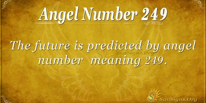Angel Number 249 Meaning: Plan Your Future - SunSigns.Org