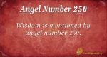 Angel Number 250 Meaning: Inner Knowledge - SunSigns.Org