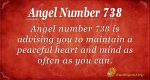 Angel Number 738 Meaning: Negativity Is Misery - SunSigns.Org