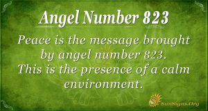 Angel Number 823 Meaning: Cultivate Peace - SunSigns.Org