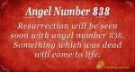 Angel Number 838 Meaning: Self-Respect Matters - SunSigns.Org