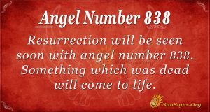 Angel Number 838 Meaning: Self-Respect Matters - SunSigns.Org