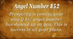 Angel Number 852 Meaning: Count your Blessings - SunSigns.Org