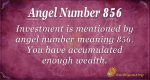 Angel Number 856 Meaning: Value of Commitment - SunSigns.Org