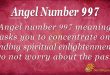 Angel Number 513 Meaning: Season Of Transformation | SunSigns.Org