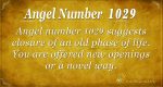 Angel Number 1029 Meaning: Take Constructive Steps - SunSigns.Org