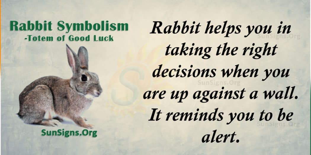 Rabbit Spirit Animal Totem Meaning - Totem Of Good Luck - SunSigns.Org