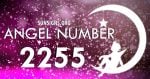 Angel Number 2255 Meaning - Time To Work On Yourself - SunSigns.Org