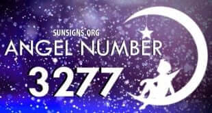 Angel Numbers Category | Sun Signs