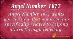 Angel Number 1877 Meaning: The Power Of Your Destiny - SunSigns.Org