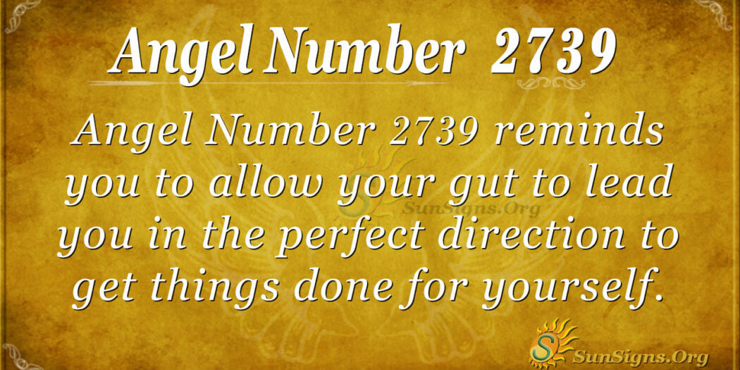 Angel Number 2739 Meaning: Accept Guidance - SunSigns.Org