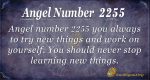 Angel Number 2255 Meaning - Time To Work On Yourself - SunSigns.Org