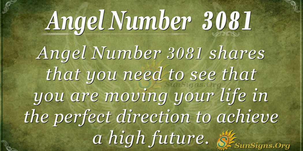 Angel Number 3081 Meaning: Enjoy Every Moment - SunSigns.Org