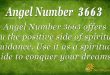 Angel Number 77 Meaning - Find It's Impact On Your Life! | SunSigns.Org