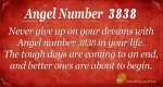 Angel Number 3838 Meaning – Reaping Your Fruits of Hard Work