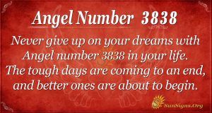 Angel Number 3838 Meaning – Reaping Your Fruits of Hard Work