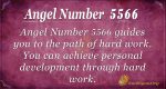 Angel Number 5566 Meaning: Your Path to Hard Work - SunSigns.Org
